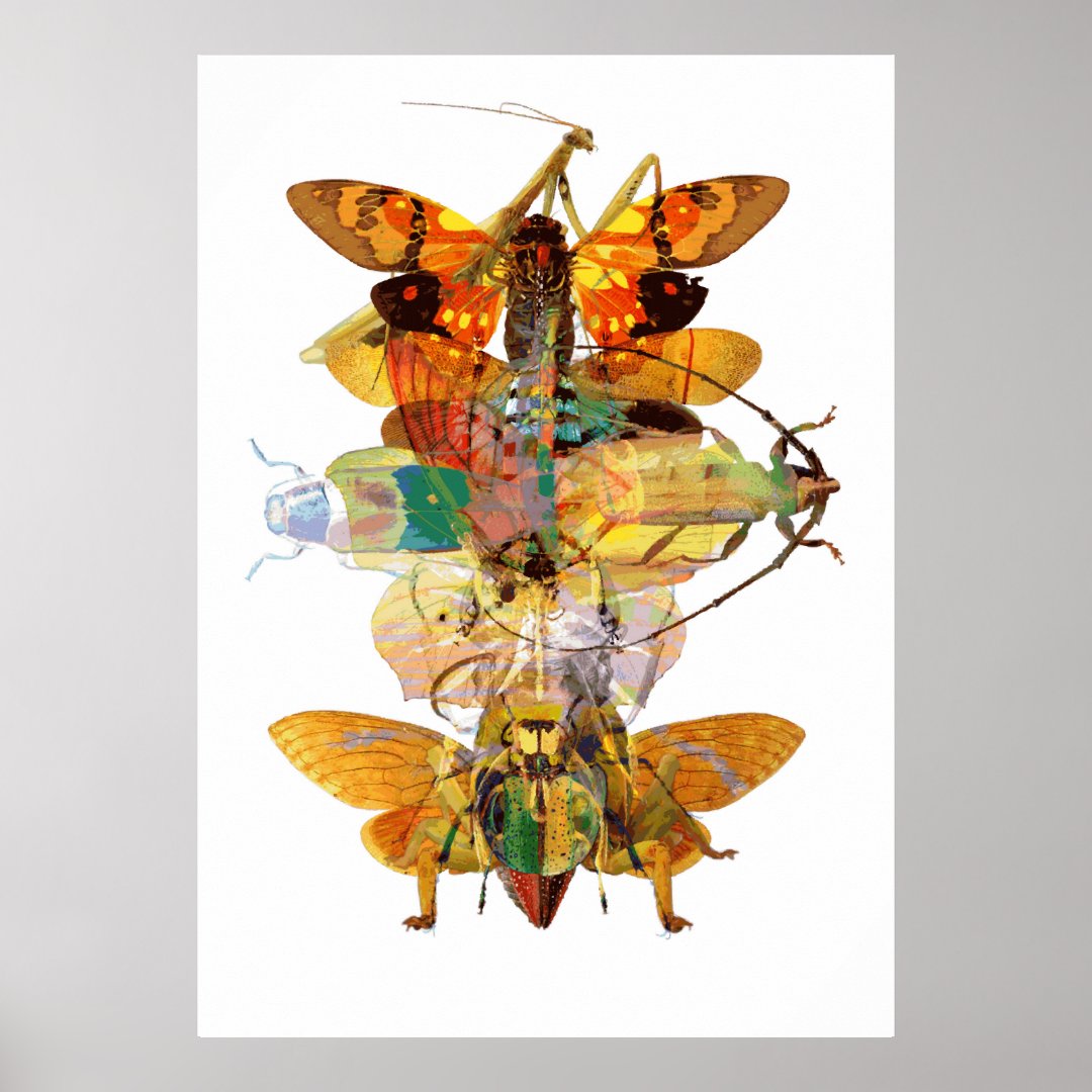 Bug Collage Poster | Zazzle