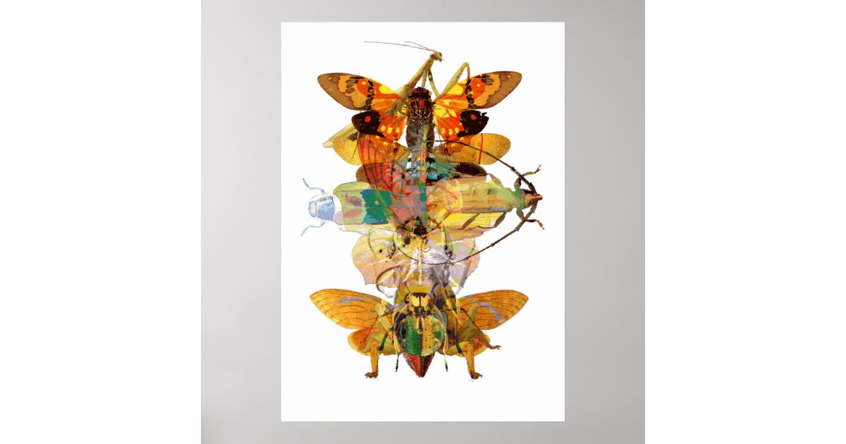 Bug Collage Poster | Zazzle