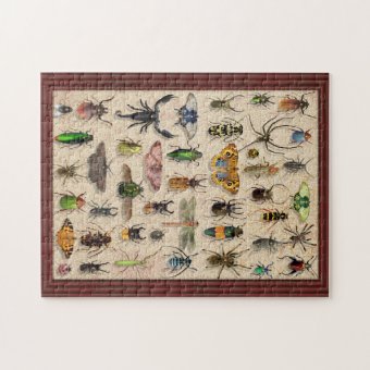 Bug Collection Insects Fun Entomology Jigsaw Puzzle | Zazzle