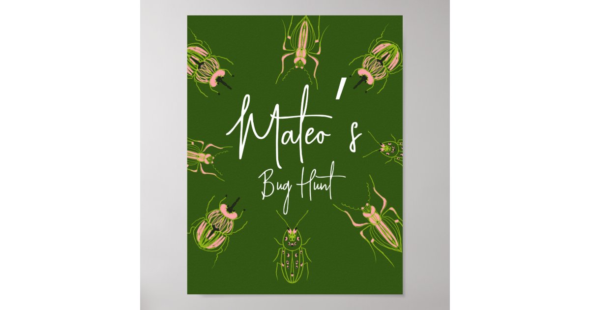 Bug Hunt Insect Birthday Hand Drawn Party Poster | Zazzle