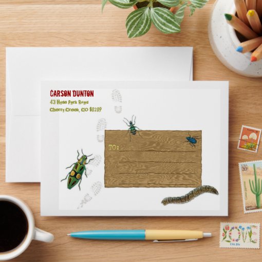 Bug Hunt Party Personalized Envelope | Zazzle