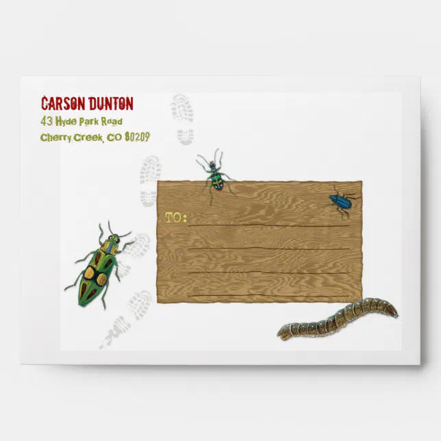 Bug Hunt Party Personalized Envelope | Zazzle