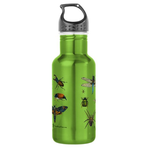 Bug Juice Water Bottle for Entomologist | Zazzle