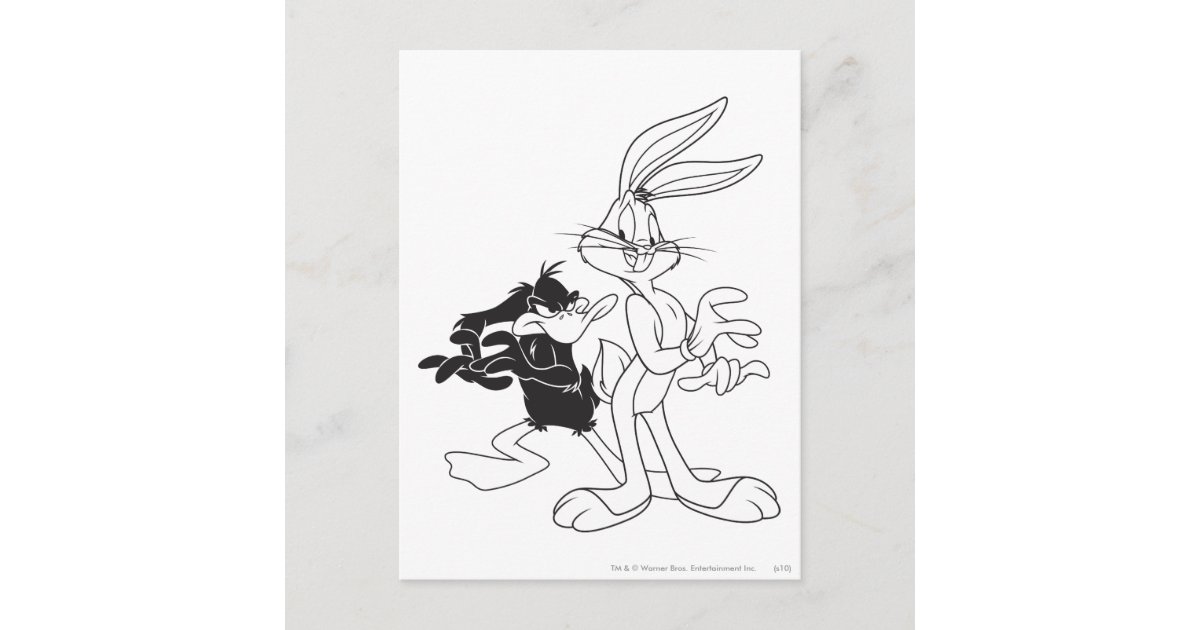 Bugs Bunny™ And Daffy Duck™ Postcard Zazzle