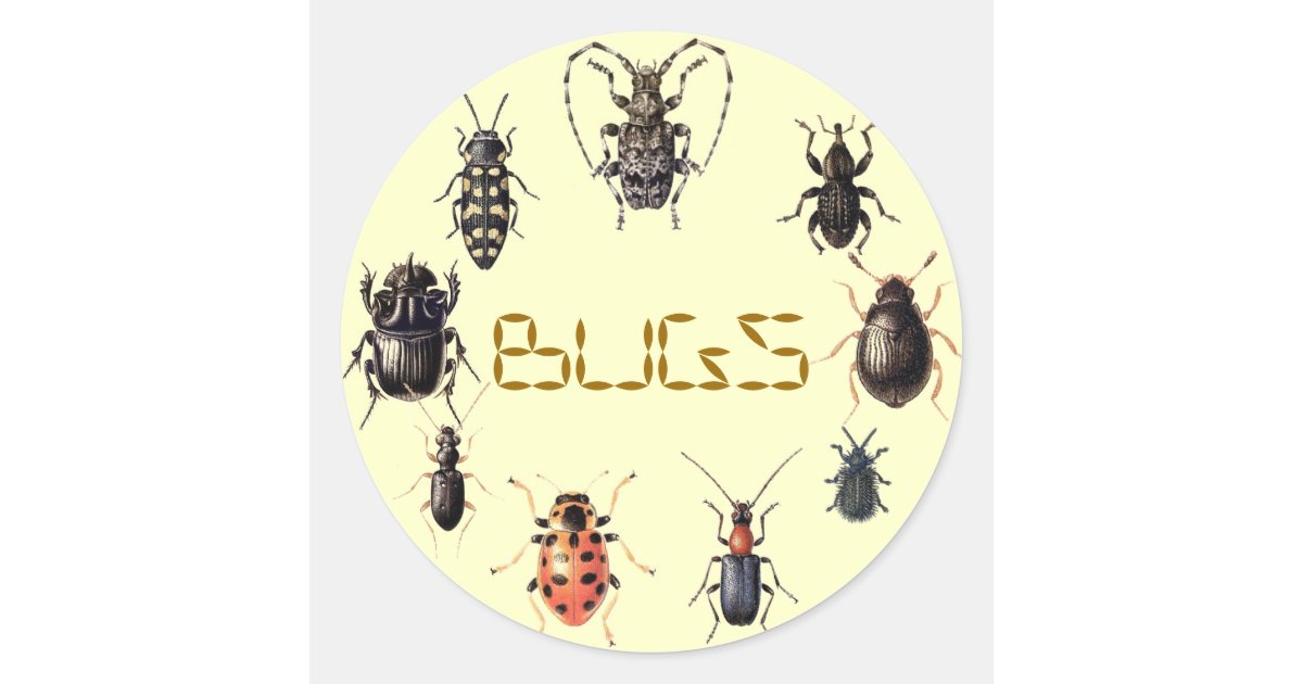 BUGS CLASSIC ROUND STICKER | Zazzle