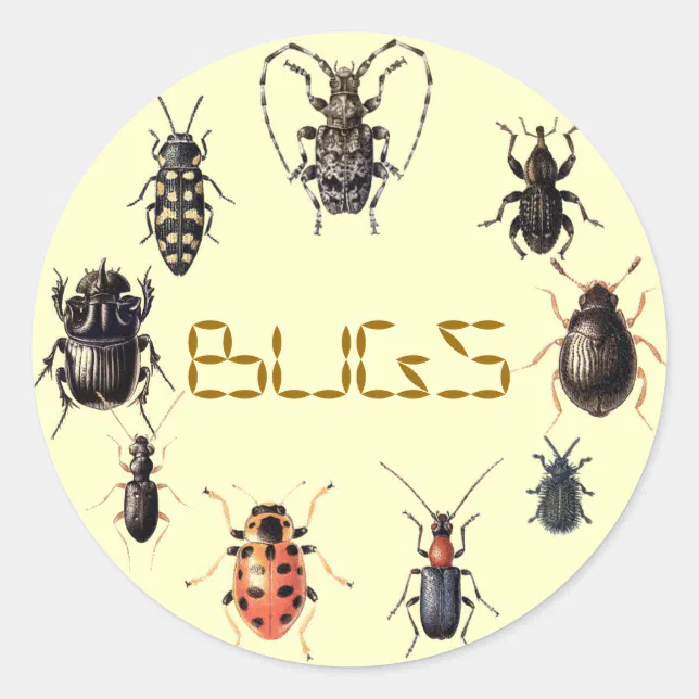 BUGS CLASSIC ROUND STICKER | Zazzle