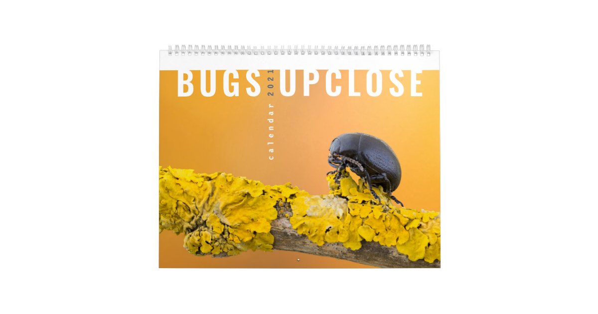 BUGS UPCLOSE 2021 CALENDAR | Zazzle
