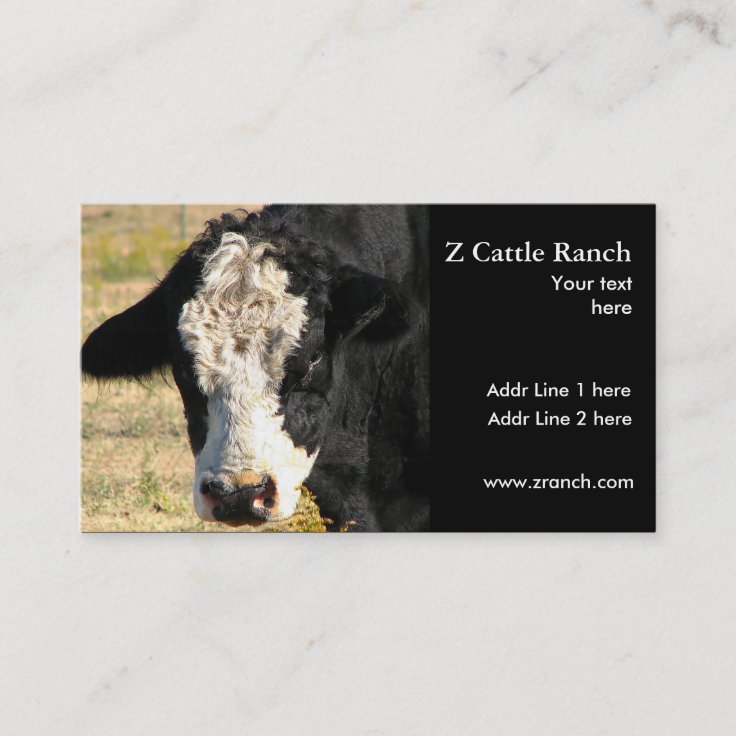 Bull Cattle Business Card | Zazzle