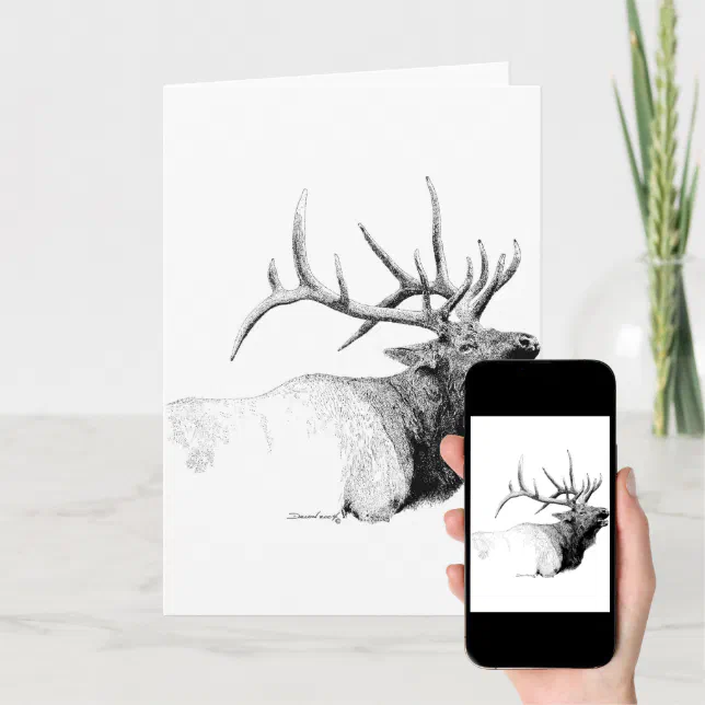 Bull Elk Card | Zazzle