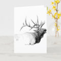 Bull Elk Card | Zazzle