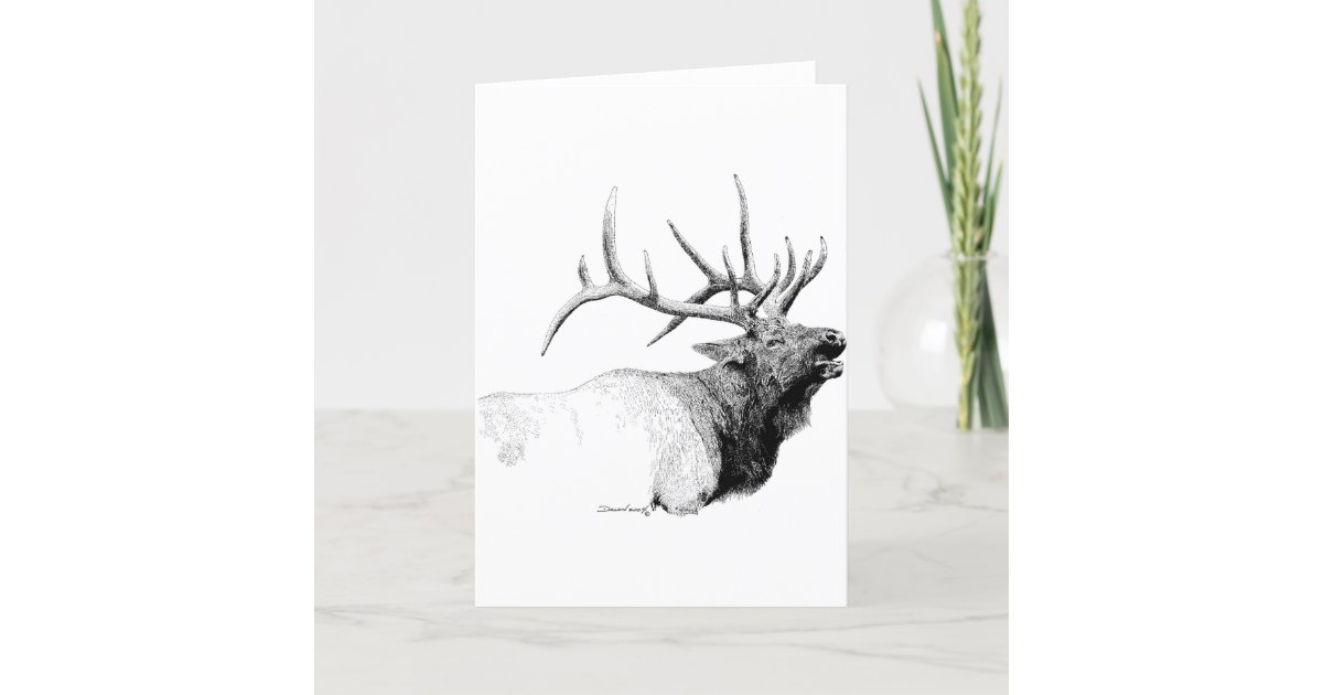 Bull Elk Card | Zazzle