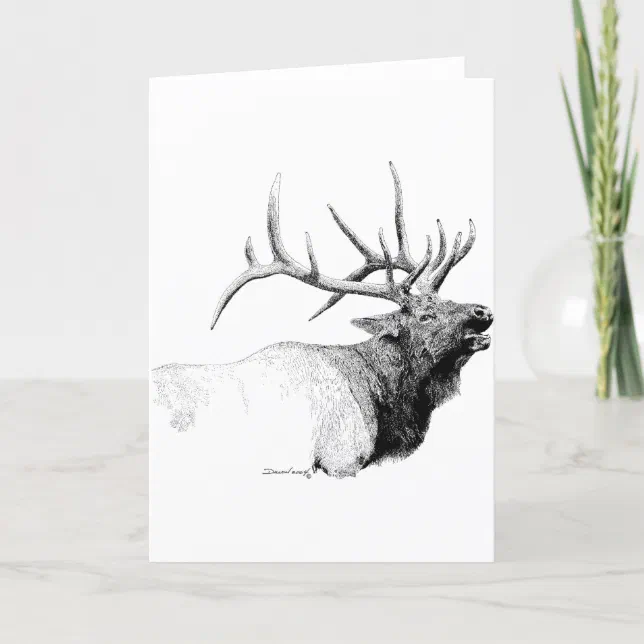 Bull Elk Card | Zazzle