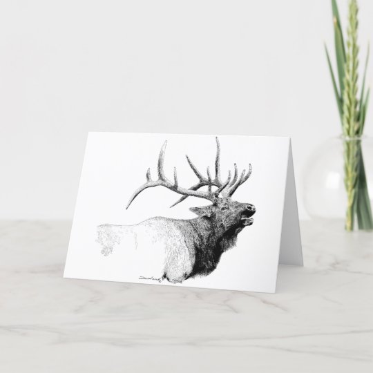Bull Elk Card | Zazzle.com