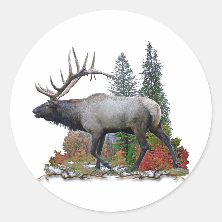 Bull Elk Classic Round Sticker | Zazzle