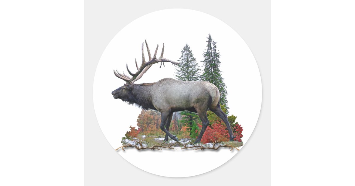 Bull Elk Classic Round Sticker | Zazzle