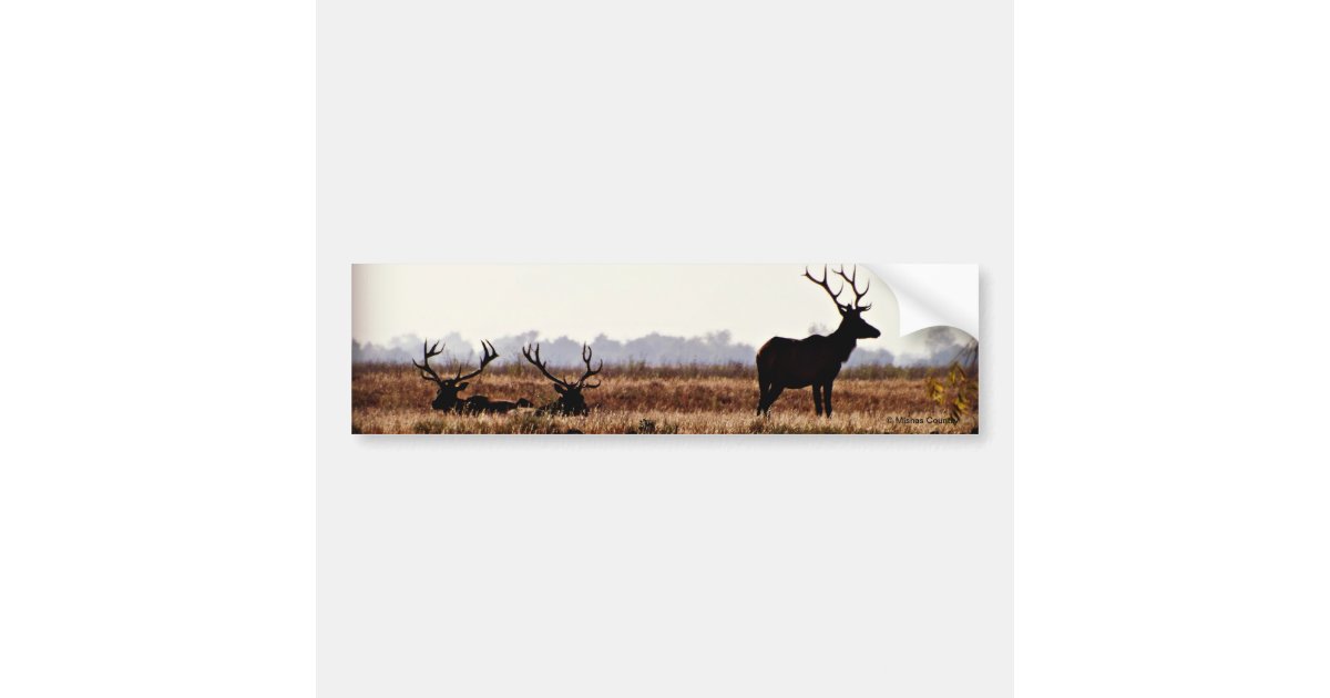 Bull Elk Silhouette Bumper Sticker | Zazzle