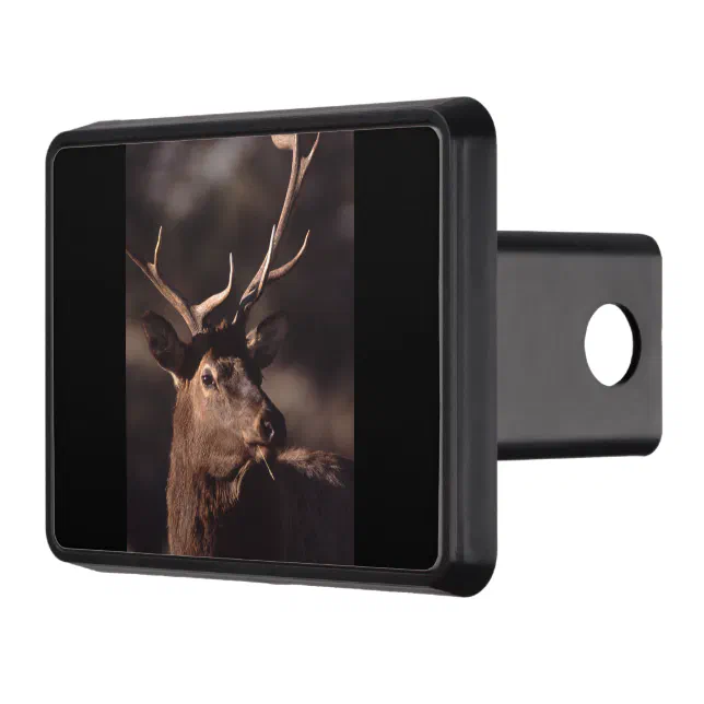 Bull elk tow hitch cover | Zazzle