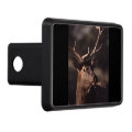 Bull elk tow hitch cover | Zazzle