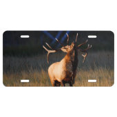 Bull Elk with Head Back License Plate | Zazzle