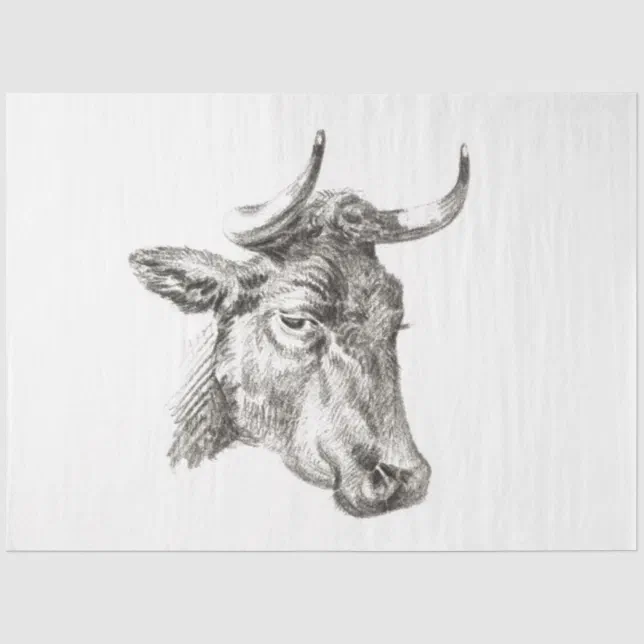 Bull Head Ephemera Decoupage Vintage Farm Cow Tissue Paper | Zazzle