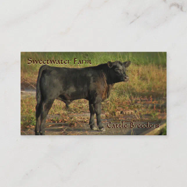 Bull or Cattle Farm Standard Business Card | Zazzle
