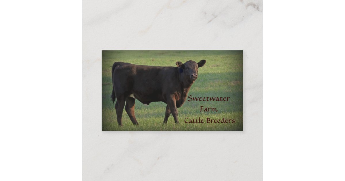 Bull or Cattle Farm Standard Business Card 2 | Zazzle