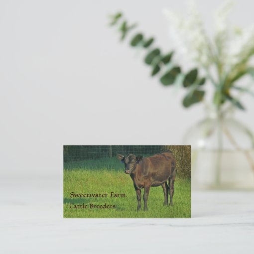 Bull or Cattle Farm Standard Business Card 3 | Zazzle