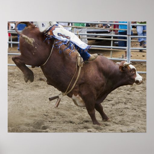 Bull rider at rodeo poster | Zazzle