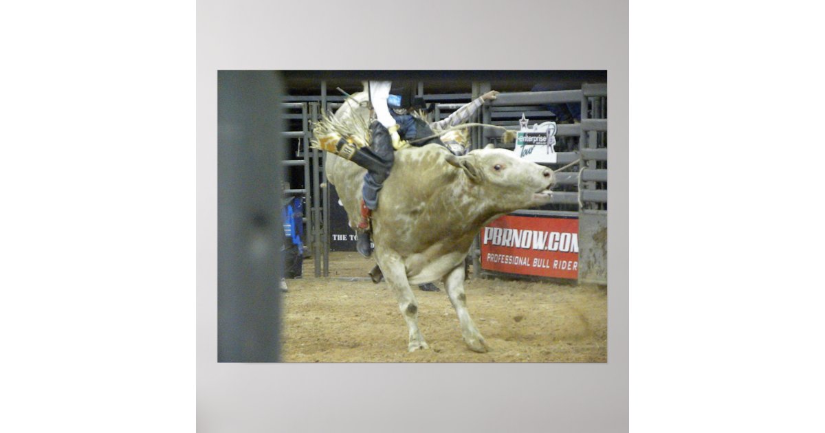 Bull Riding Action Poster | Zazzle
