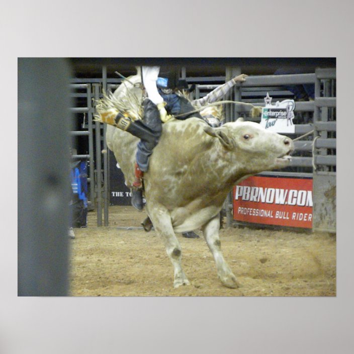 Bull Riding Action Poster | Zazzle.com