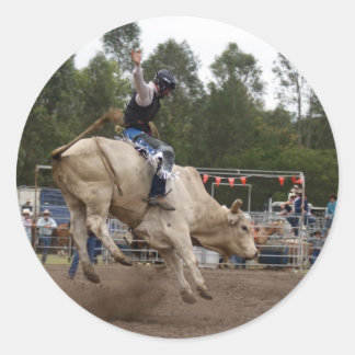 BULL RIDING BERT ROUND STICKERS