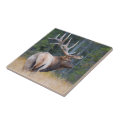 Bull Rocky Mountain Elk Ceramic Tile | Zazzle