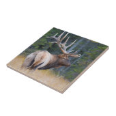 Bull Rocky Mountain Elk Ceramic Tile | Zazzle