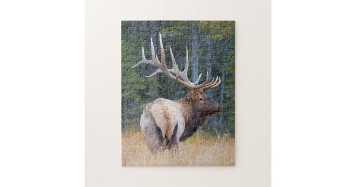 Bull Rocky Mountain Elk Jigsaw Puzzle | Zazzle