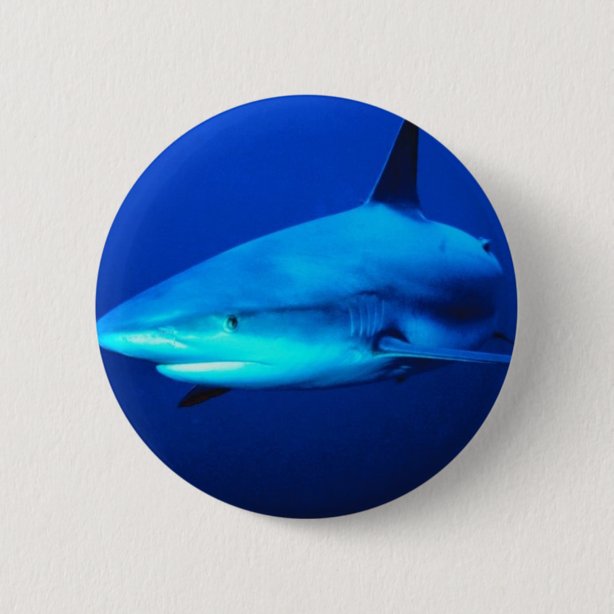 Shark Buttons & Pins - No Minimum Quantity | Zazzle