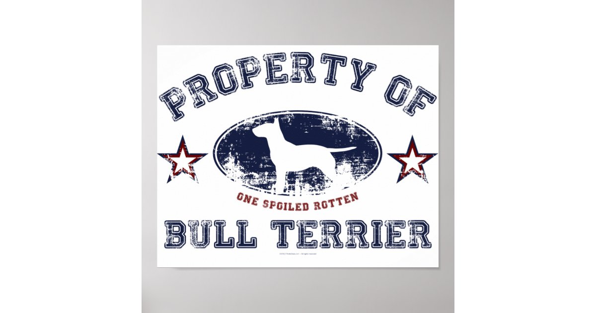 Bull Terrier Poster | Zazzle