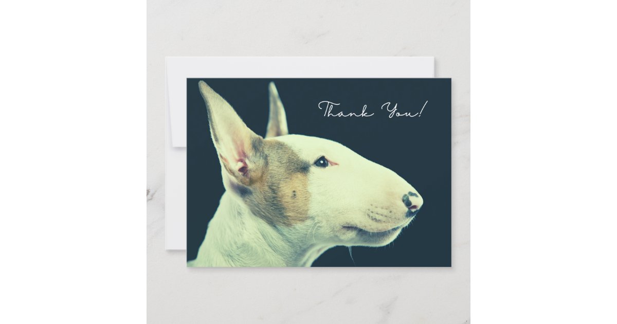 Bull Terrier Thank You Card | Zazzle