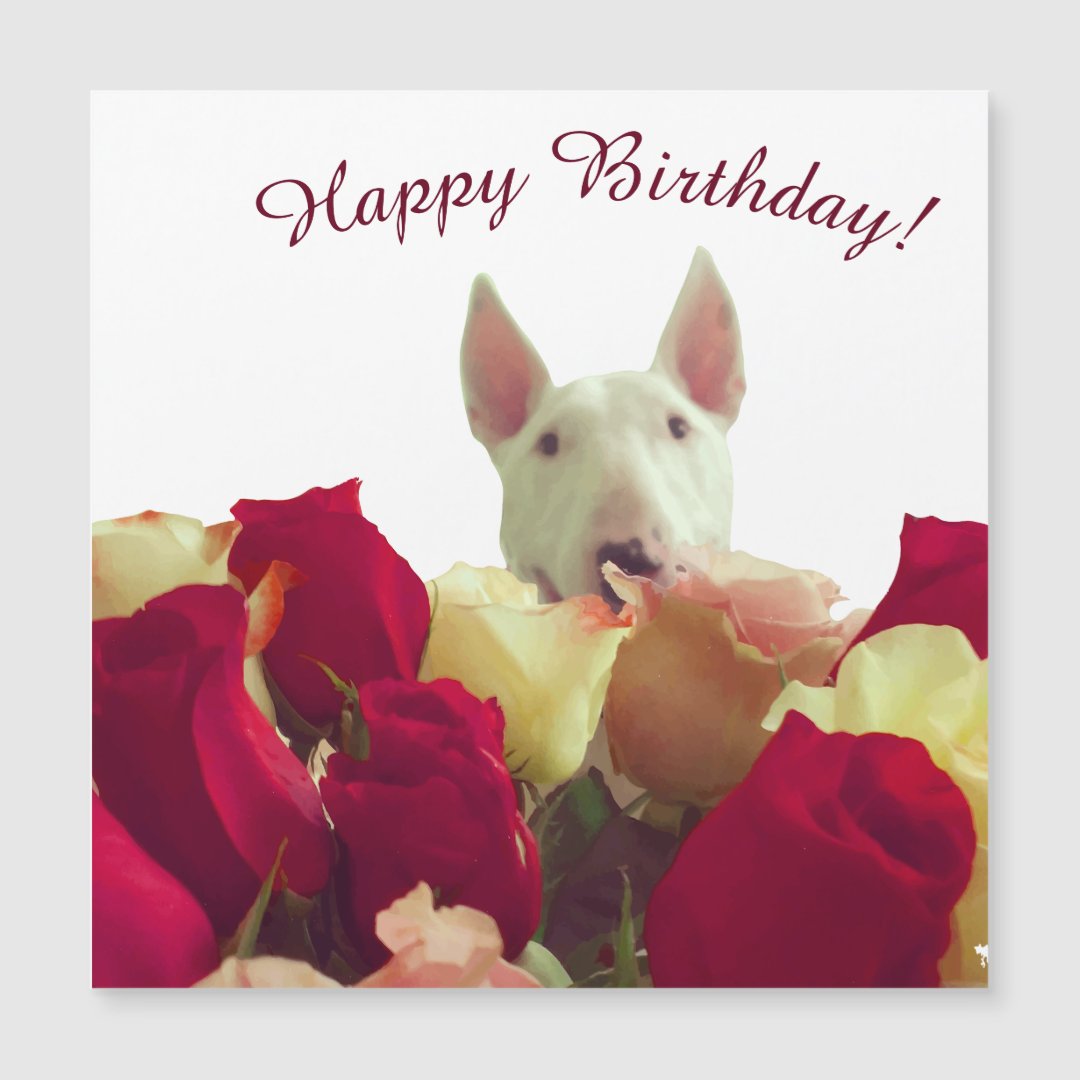 Bull terrier with roses - Happy Birthday! | Zazzle