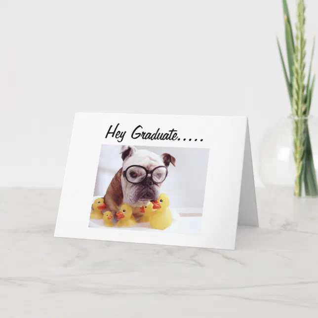 BULLDOG AT PLAY GRADUATION CARD | Zazzle