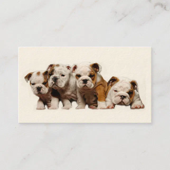 Bulldog Breeder Business Card | Zazzle