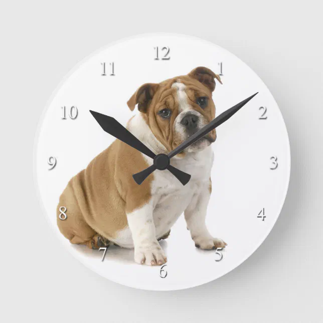 Bulldog Clock | Zazzle