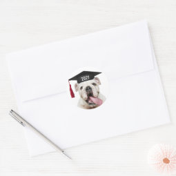 Bulldog in Graduation Cap with Class Year Classic Round Sticker | Zazzle