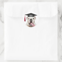 Bulldog in Graduation Cap with Class Year Classic Round Sticker | Zazzle