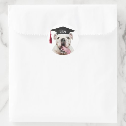 Bulldog in Graduation Cap with Class Year Classic Round Sticker | Zazzle