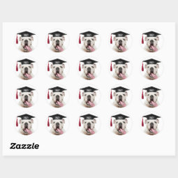 Bulldog in Graduation Cap with Class Year Classic Round Sticker | Zazzle