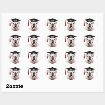Bulldog in Graduation Cap with Class Year Classic Round Sticker | Zazzle