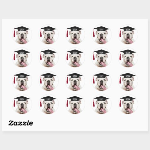 Bulldog in Graduation Cap with Class Year Classic Round Sticker | Zazzle
