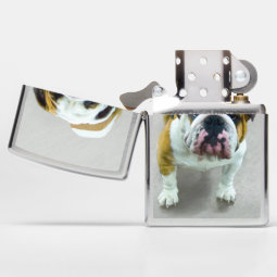 Bulldog Painting - Cute Original Dog Art Zippo Lighter | Zazzle