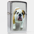 Bulldog Painting - Cute Original Dog Art Zippo Lighter | Zazzle