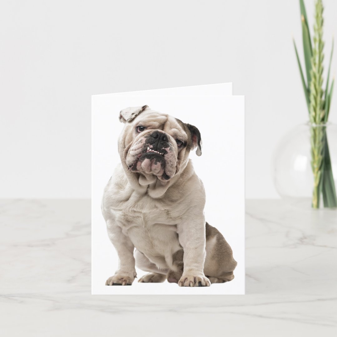 Bulldog Puppy Dog Love, Hello Thinking of You Card | Zazzle